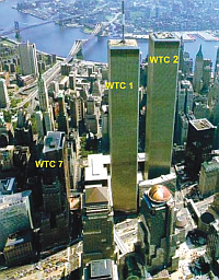 Final Thoughts | Logos con carne