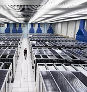 The Human Connectome | Logos con carne