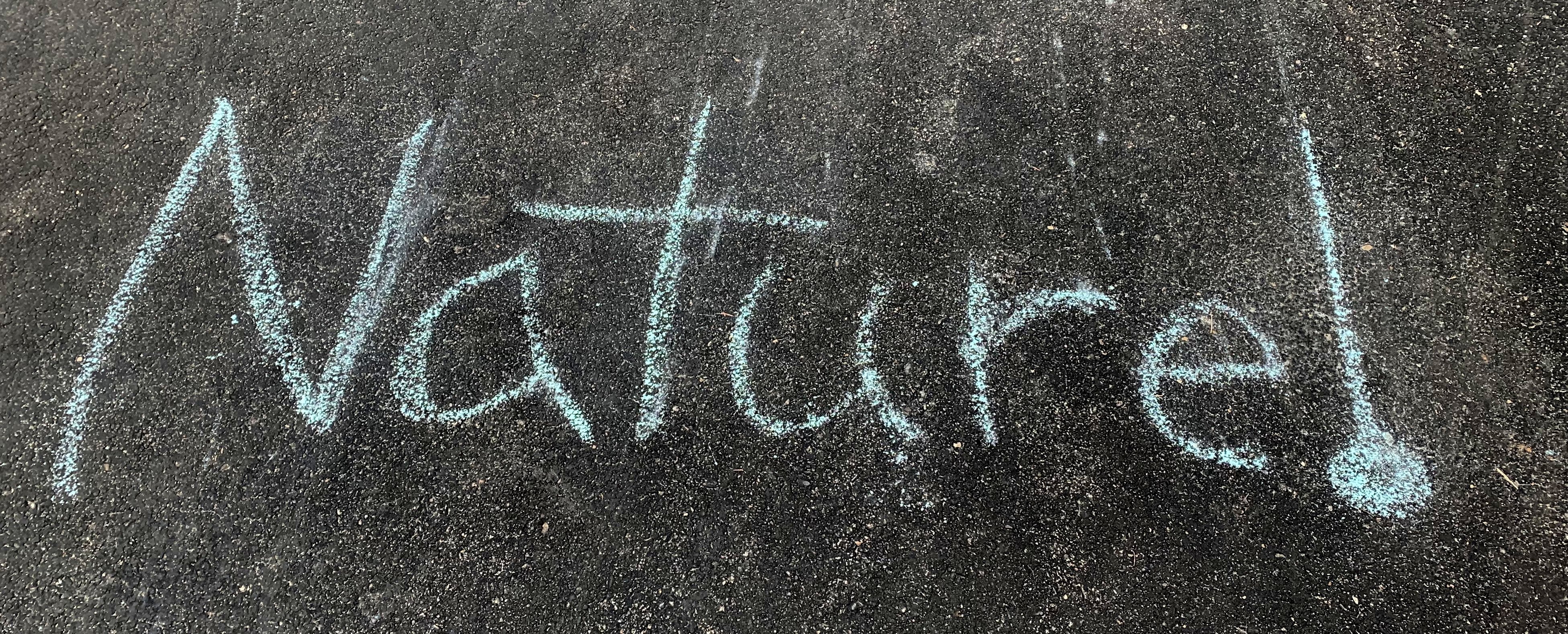 Colored Chalk Wishes | Logos con carne